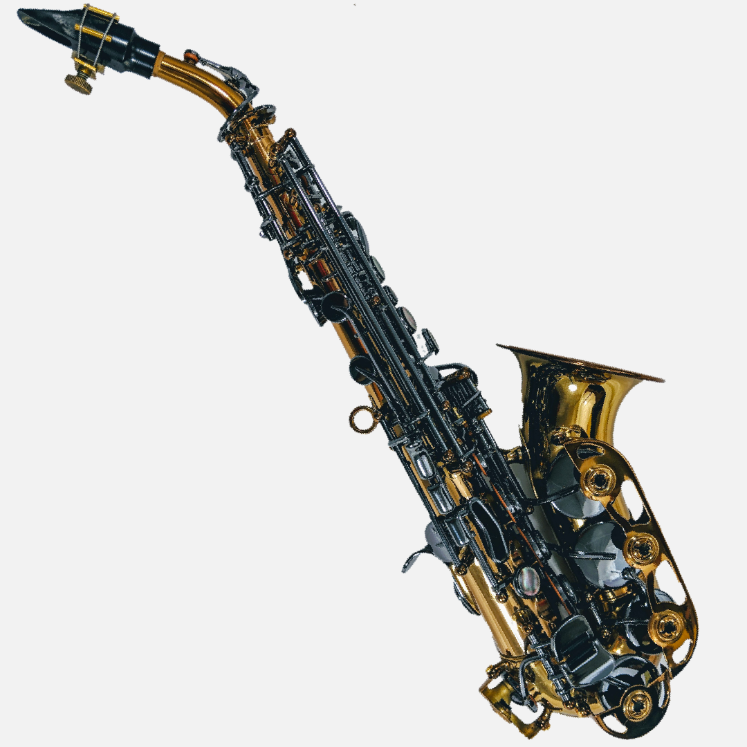 Origin Series Professional Curved Soprano Saxophone (GEN 3) – Victory ...